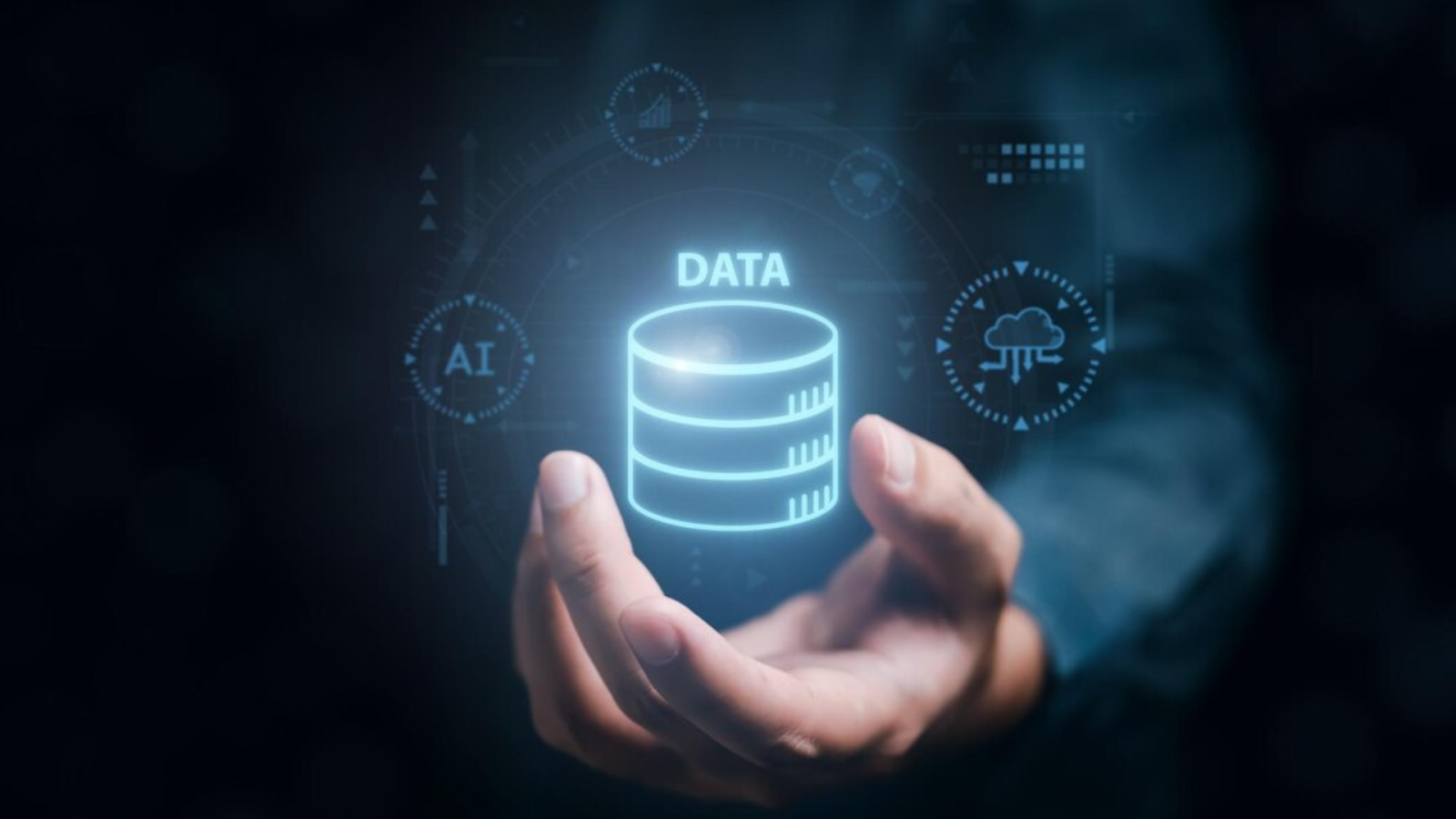 Best Database Management Options for 2025 - Best Database Management ...