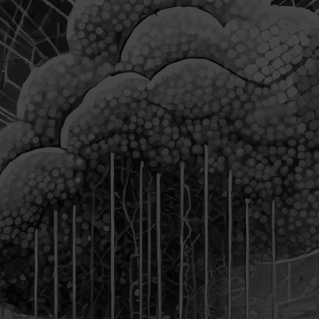 Codewave- design thinking, web & mobile app development services